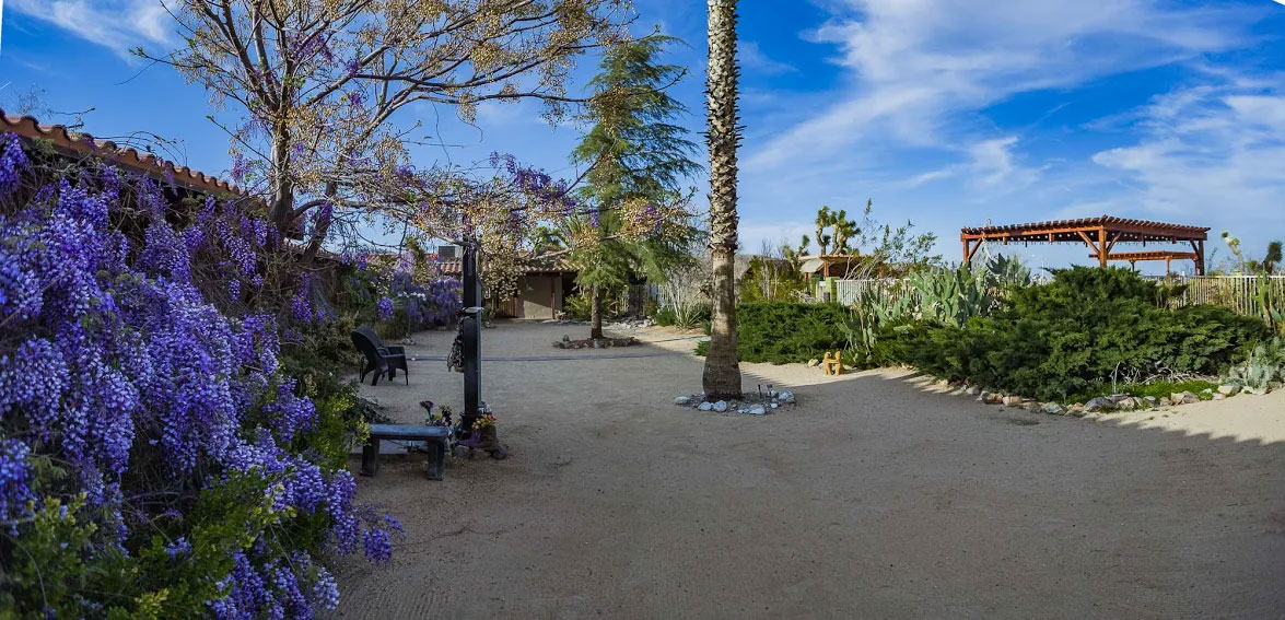 The Joshua Tree Inn | Joshua Tree National Park | Joshua Tree CA
